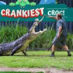 Sydney: Reptile Park and Avoca Beach Day Trip with Entry - Exploring the Itinerary in Detail