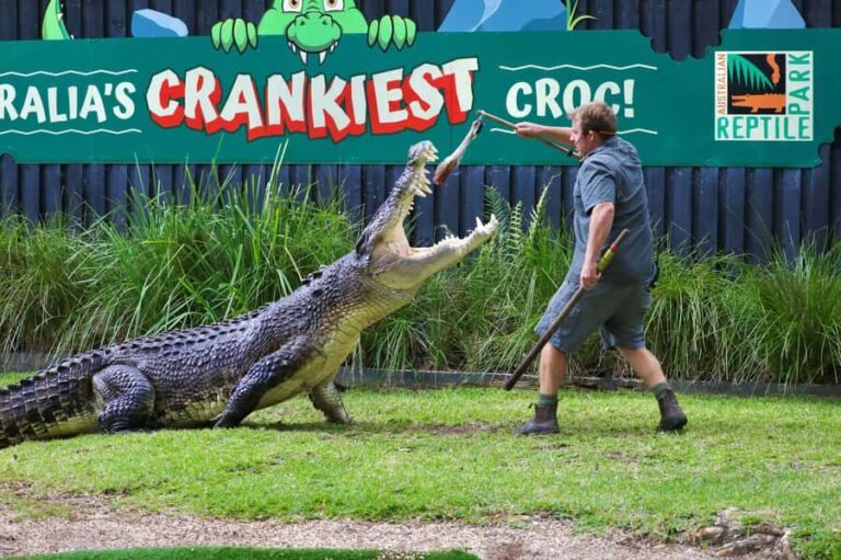 Sydney: Reptile Park and Avoca Beach Day Trip with Entry - Exploring the Itinerary in Detail