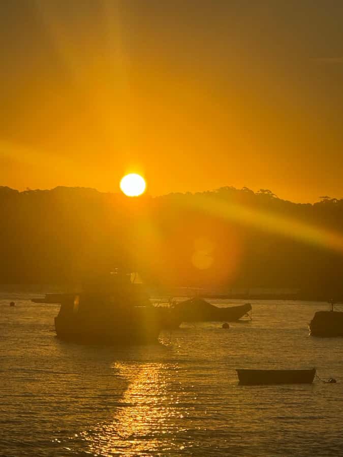 Sydney: Scenic Ferry & Sunset Experience in Watsons Bay - The Coastal Walk & Hornby Lighthouse