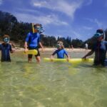 Sydney: Snorkeling Tour for Kids with Private Guide - The Marine Life and the Setting