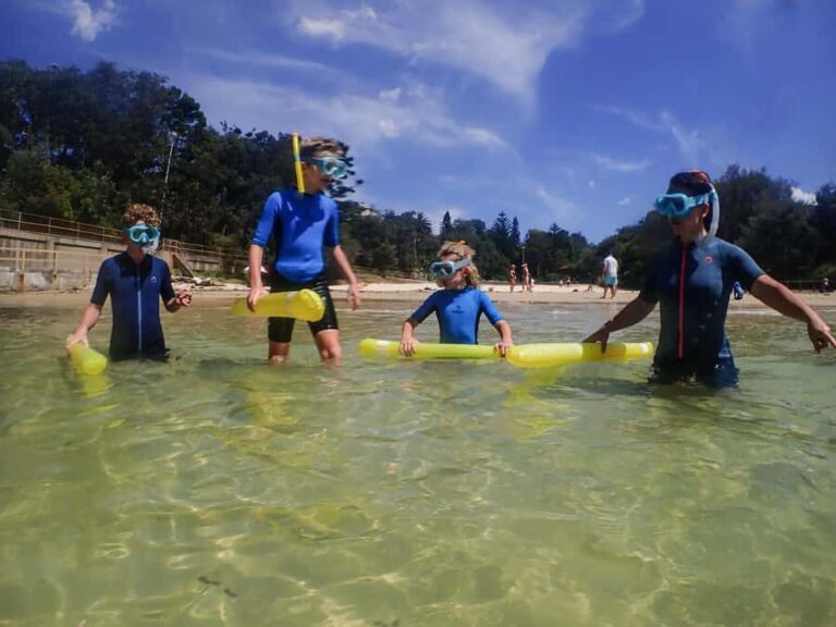Sydney: Snorkeling Tour for Kids with Private Guide - The Marine Life and the Setting