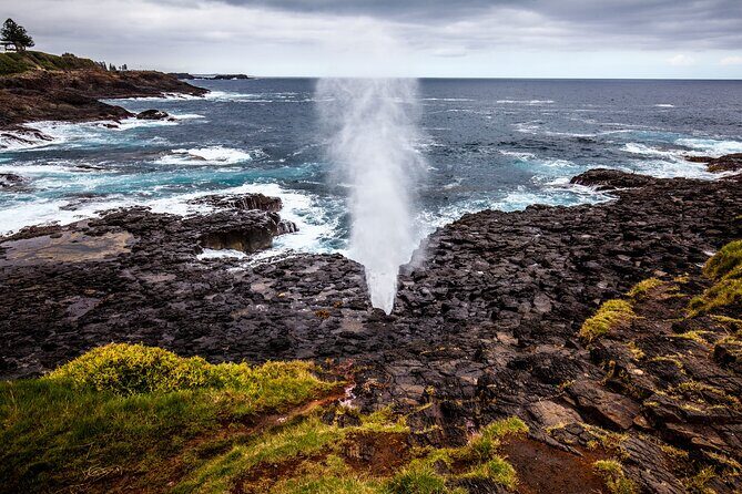 Sydney South Coast Day Tour  Kiama Blowhole & Sea Cliff Bridge - Practical Details and Value