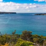 Sydney: Taronga to Balmoral hike with Picnic and painting - Who Should Consider This Tour?