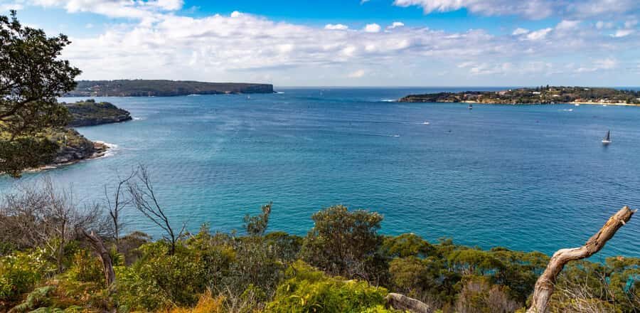 Sydney: Taronga to Balmoral Walk with picnic at Balmoral - Practical Details and Tips