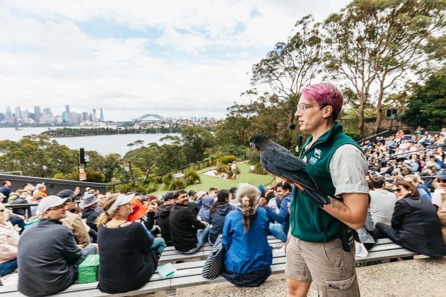 Sydney: Taronga Zoo Tickets - An In-Depth Look at the Taronga Zoo Experience