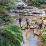 Sydney: Waterfall Bushwalk and Blue Mountain Sunset Day Trip - The Itinerary Breakdown — What You’ll Actually Do
