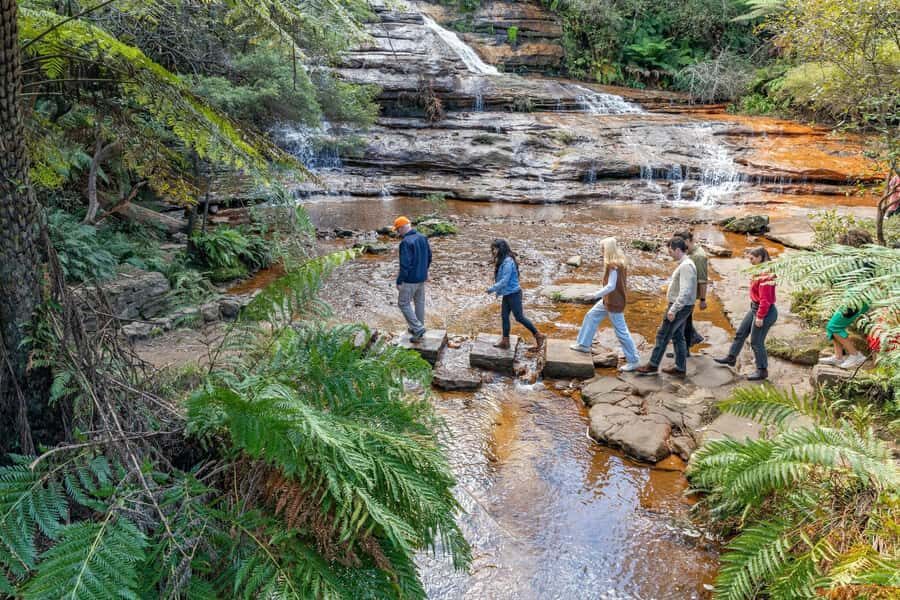 Sydney: Waterfall Bushwalk and Blue Mountain Sunset Day Trip - The Itinerary Breakdown — What You’ll Actually Do