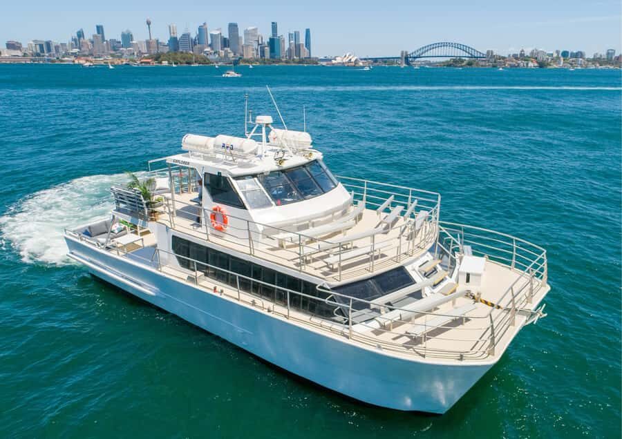 Sydney: Whale Watching Adventure Cruise - The Experience in Detail