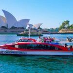 Sydney: Whale Watching & Hop On Hop Off Cruise Package - Why This Tour Is Worth Considering