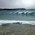 Sydney's Northern Beaches - Paradise in a city - Who Should Consider This Tour?