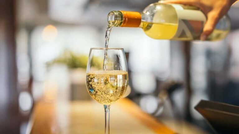 Tadoussac/Charlevoix: VIP Lounge OR UpperDeck Whale Watching - An In-Depth Look at the Whale Watching Tour