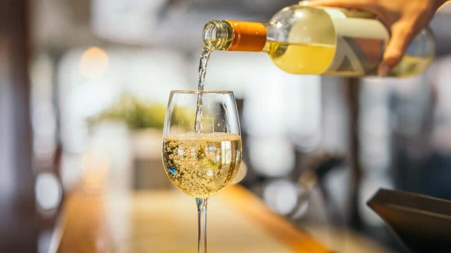 Tadoussac/Charlevoix: VIP Lounge OR UpperDeck Whale Watching - An In-Depth Look at the Whale Watching Tour