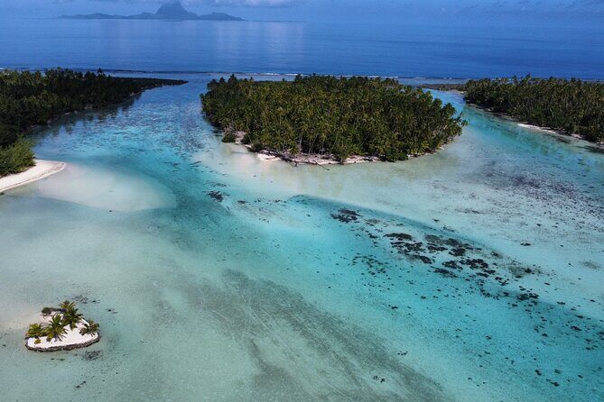 Tahaa Excursion in Electric Paddle Snorkeling Coral Garden - Detailed Itinerary Breakdown