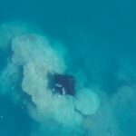 Taha'a Island or Raiatea Boat Tour - What’s Included and What to Bring