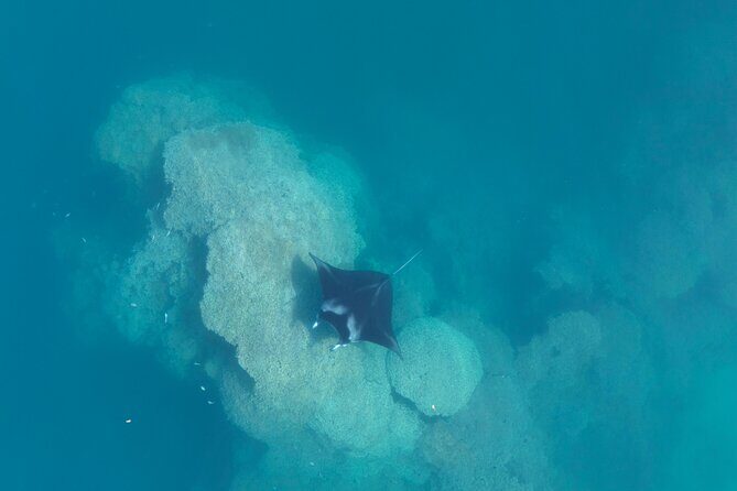 Taha'a Island or Raiatea Boat Tour - What’s Included and What to Bring