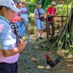 Tahiti Classical Coastal Full Day Private Tour - Transportation and Group Size