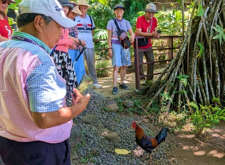 Tahiti Classical Coastal Full Day Private Tour - Transportation and Group Size