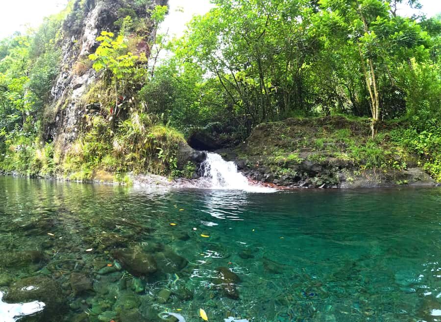 Tahiti E-bike, mtb, vtt Tour with Swimming and Lunch - Is This Tour Worth the Price?