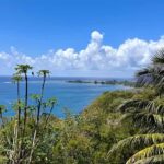 Tahiti: East or West coast tour (Half Day) - Exploring Tahiti’s West Coast: Beaches, Caves, and Sunset Views