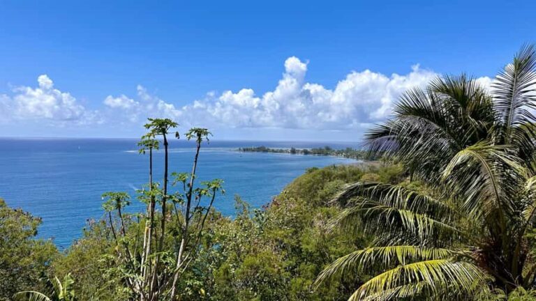 Tahiti: East or West coast tour (Half Day) - Exploring Tahiti’s West Coast: Beaches, Caves, and Sunset Views