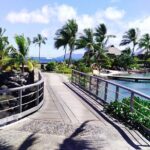 Tahiti Fautaua Valley and Big Waterfall Private Hiking Tour - Practical Details and What to Expect