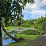 Tahiti Full Day Private Coastal Tour - The Experience: Transport, Guides, and Flexibility