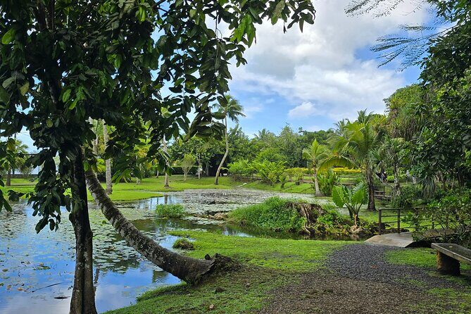 Tahiti Full Day Private Coastal Tour - The Experience: Transport, Guides, and Flexibility