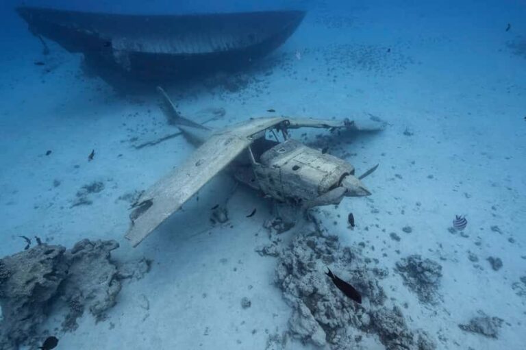 Tahiti island: 4 hours Snorkeling Tour - The Itinerary Breakdown