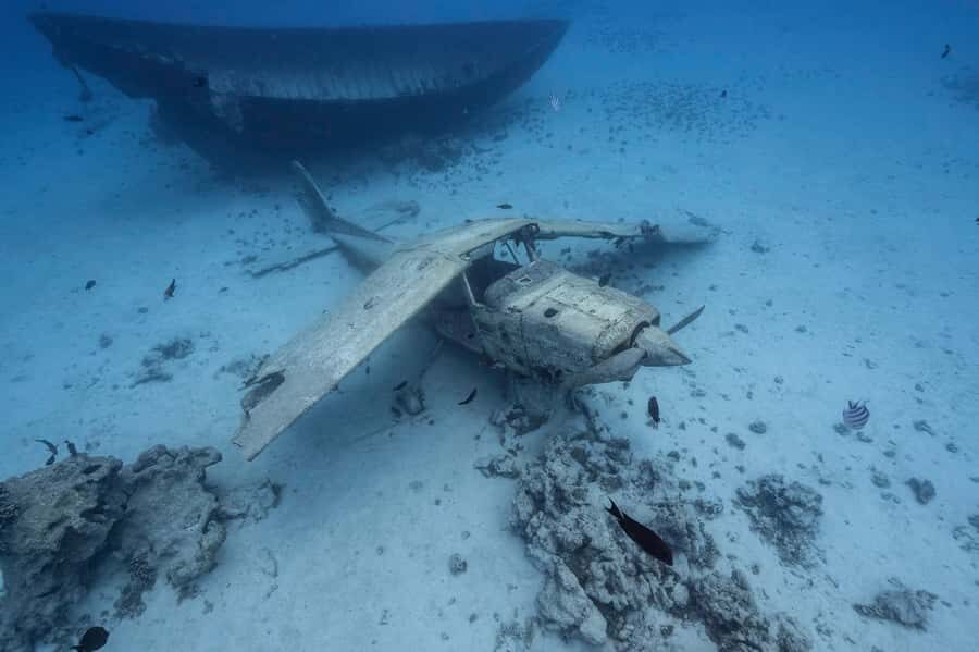 Tahiti island: 4 hours Snorkeling Tour - The Itinerary Breakdown