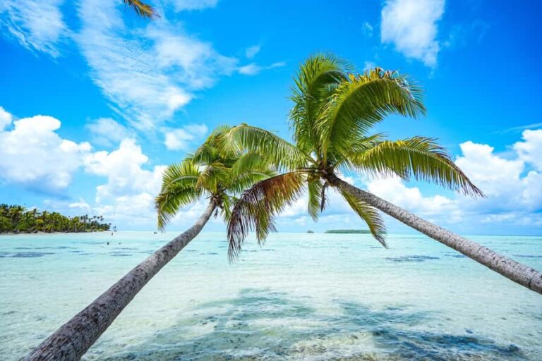 Tahiti Lagoon: 4-hour snorkeling to discover the secrets of the lagoon - Practical Details: Making the Most of Your Experience