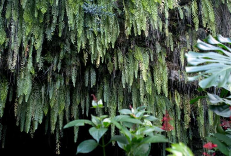 Tahiti: Private Half Day Culture and Nature Highlights Tour - Real Experiences from Past Travelers