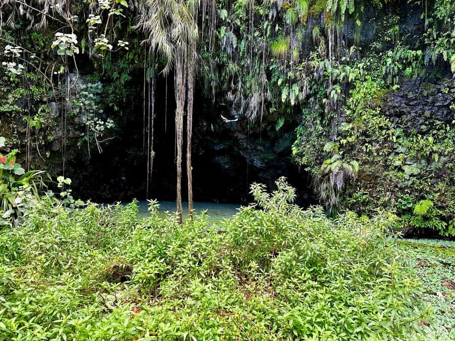 Tahiti : Tour de lîle (Full Day) avec Parapente - The Land Tour: Discovering Tahiti’s Natural and Cultural Gems