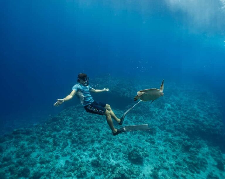 Tahiti underwater photo experience - What to Expect from the Tahiti Underwater Photo Experience