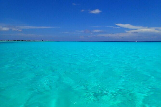 Take a Ride in your Buggie in Cozumel only from Tulum - Practical Considerations and Value