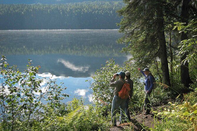 Talkeetna Lakes Hike Guided by a Naturalist - Practical Details & What to Expect