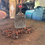 Taller de Cacao Todo Incluido - Value and Practicalities