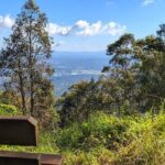 Tamborine Mountain and Paradise Point Tour from Brisbane - Review Highlights from Past Travelers