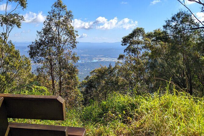 Tamborine Mountain and Paradise Point Tour from Brisbane - Review Highlights from Past Travelers