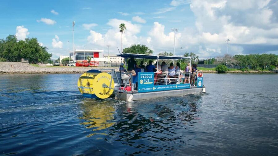 Tampa: 2 hour Paddle Pub River Cruise - Practical Details to Know Before You Go
