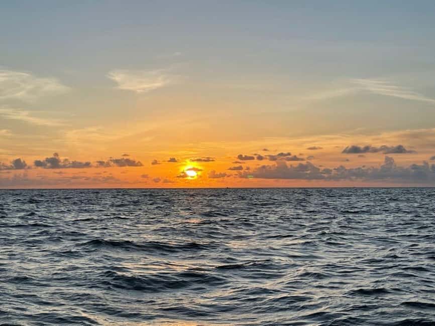 Tampa Bay: Sunset Cruise with Celebrity Homes and Wildlife - The Experience of the Cruise