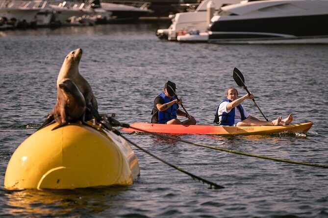 Tandem Kayak Rentals in Mission Bay - The Sum Up