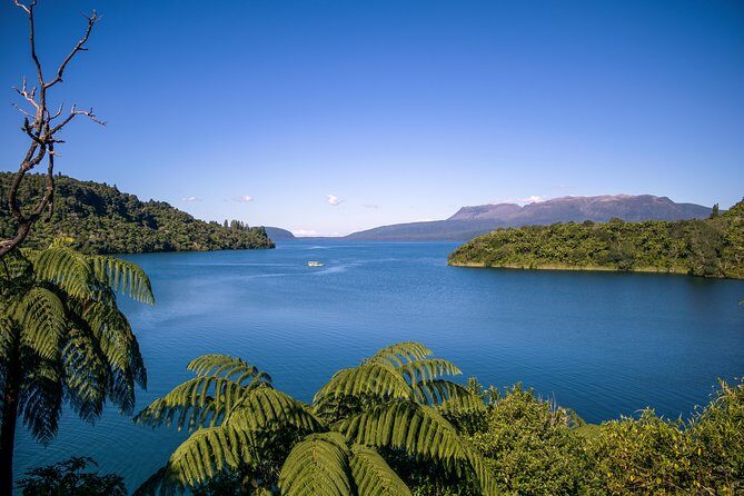 Tarawera and Rotorua Lakes Eco Tour by Boat with Guide - The Experience: What Youll Love
