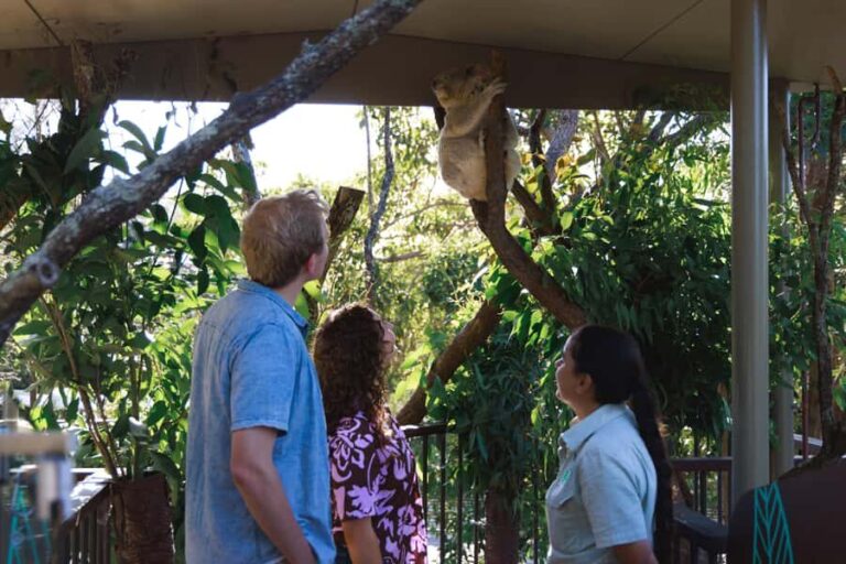 Taronga Zoo Sydney Wild Australia Experience - What You Can Expect from the Tour