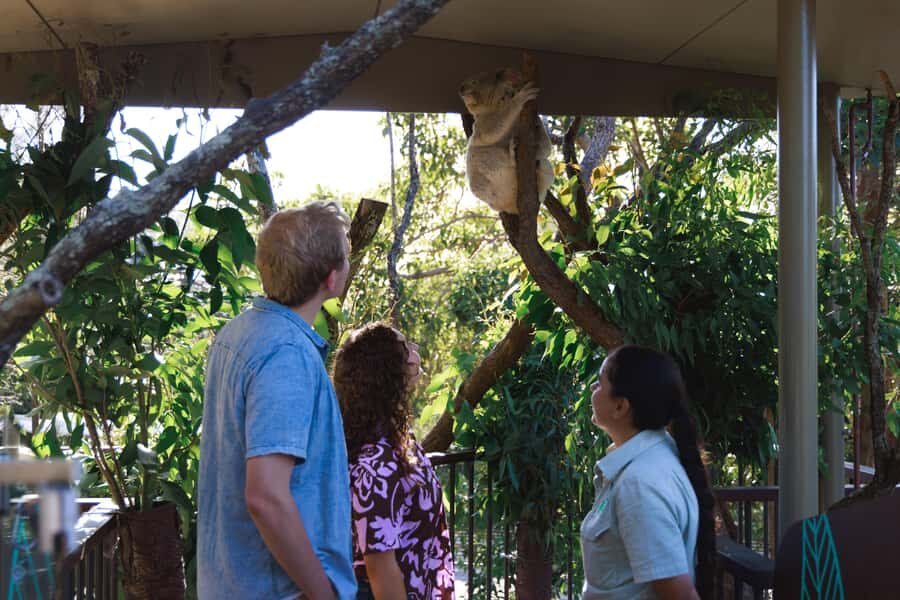Taronga Zoo Sydney Wild Australia Experience - What You Can Expect from the Tour