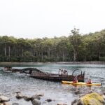 Tasman Peninsula full day kayaking tour - Who Will Love This Experience?