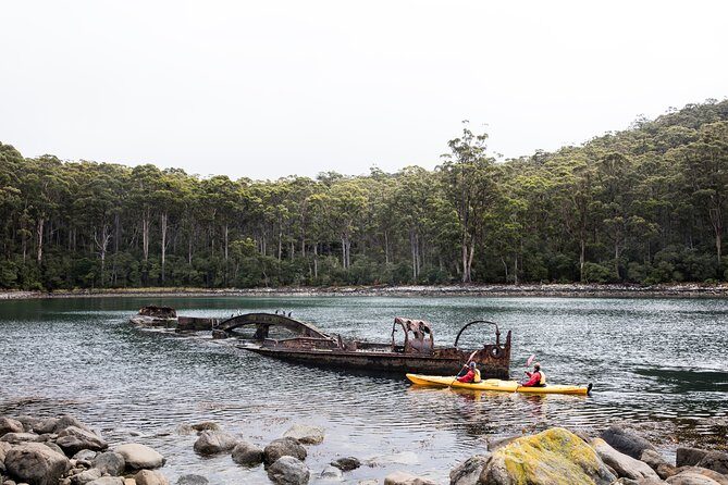 Tasman Peninsula full day kayaking tour - Who Will Love This Experience?