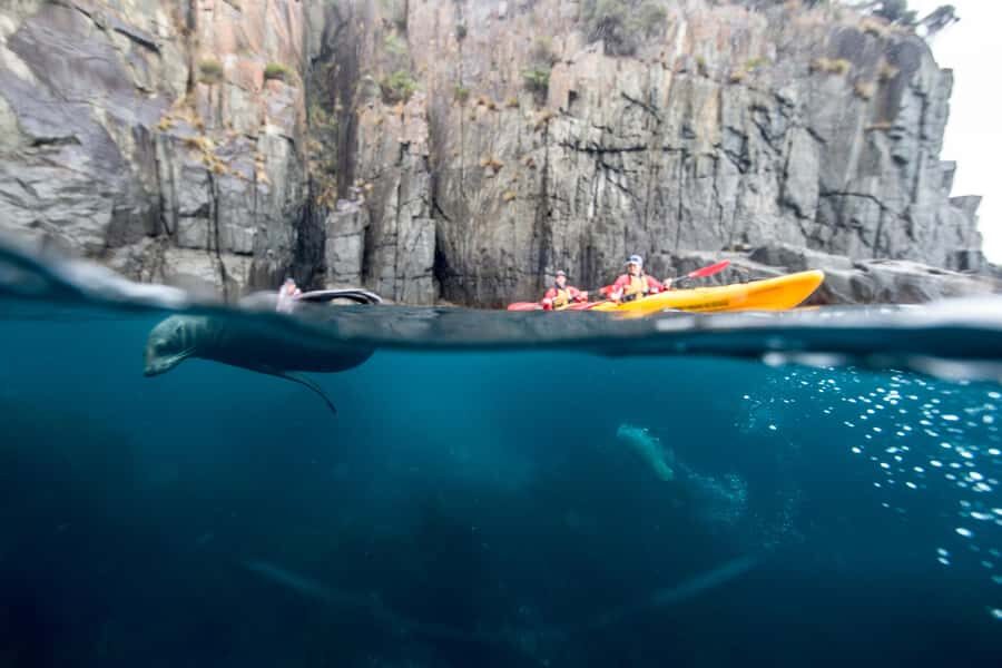 Tasman Peninsula Full-Day Sea Kayak Excursion - Paddling Under Towering Cliffs and The Famous Totem Pole