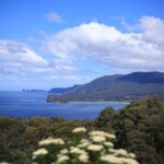 Tasman Peninsula Small-Group Guided Tour From Hobart - Dramatic Seaside Cliffs and Geological Formations