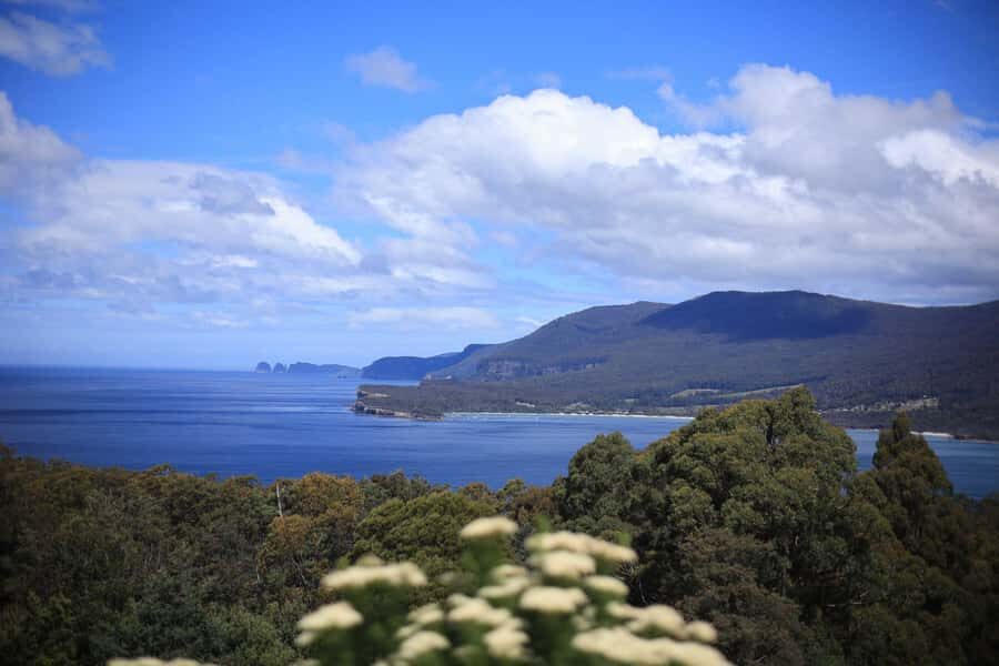 Tasman Peninsula Small-Group Guided Tour From Hobart - Authentic Experiences and Hidden Gems