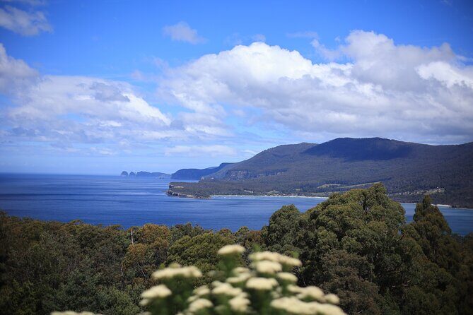 Tasman Peninsula Small-Group Guided Tour From Hobart - Dramatic Seaside Cliffs and Geological Formations
